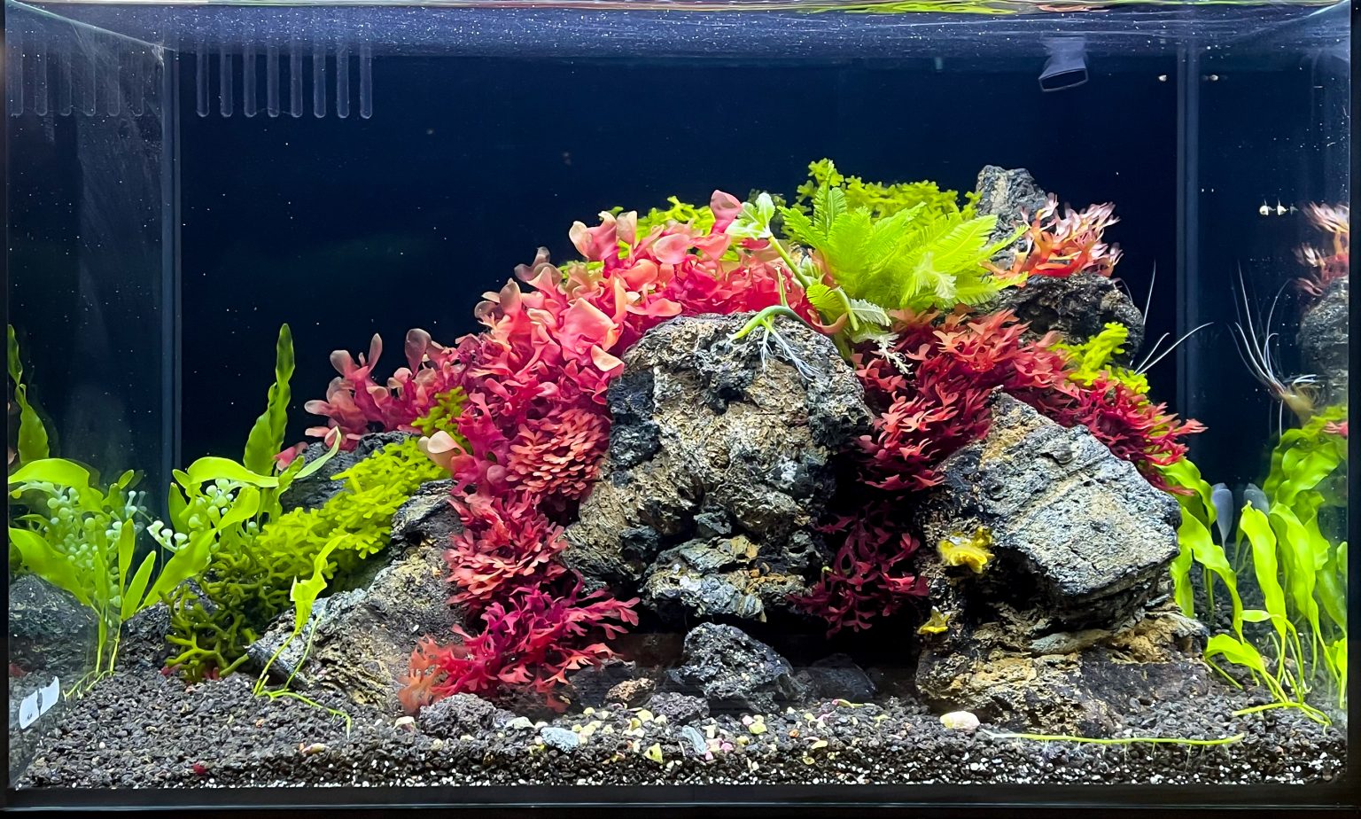 Sevenports - Nano Aquariums, Planted Aquarium Experts