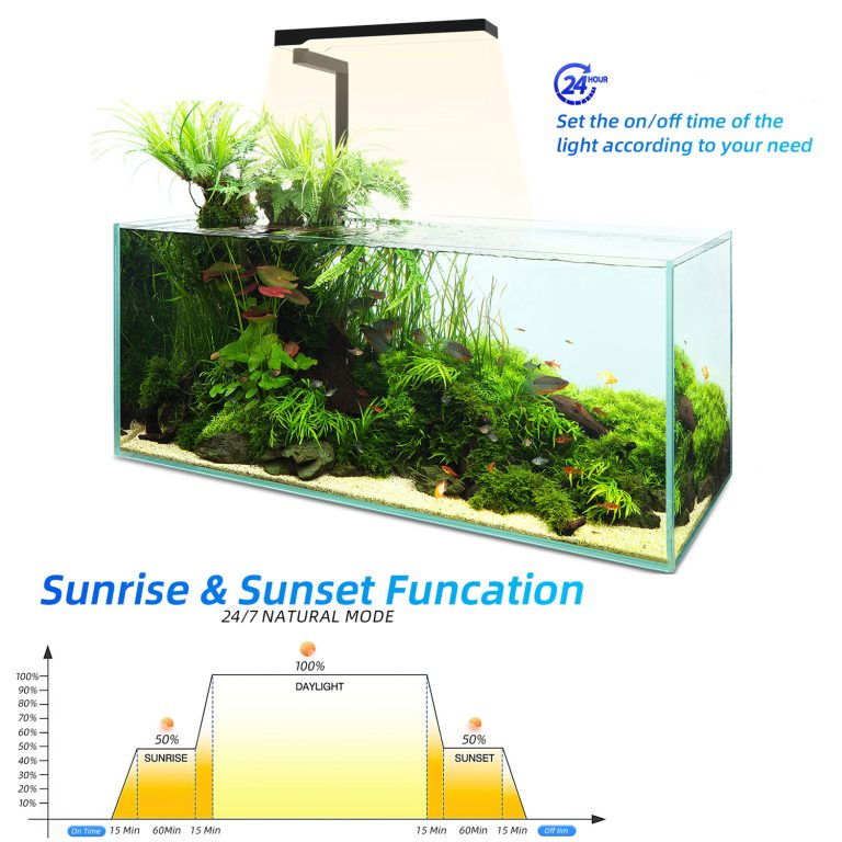 Nano & Pendant Aquarium Lights - Sevenports Nano Aquariums