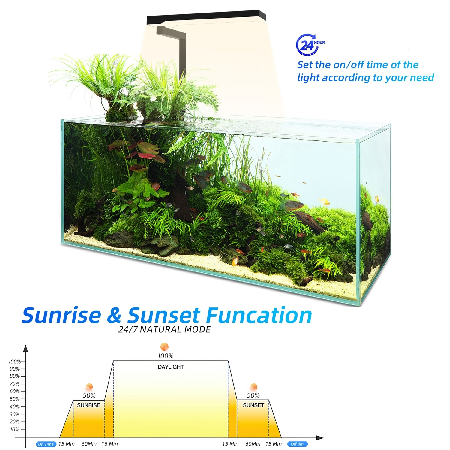 Nano & Pendant Aquarium Lights - Sevenports Nano Aquariums