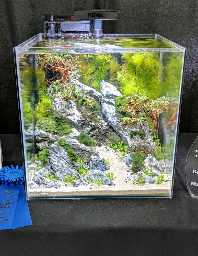 Mr. Aqua Tanks & Rimless Aquariums | SevenPorts