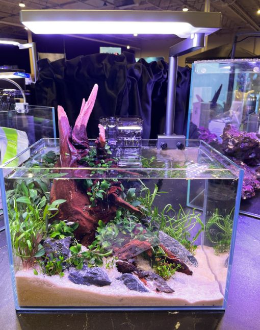 Nano & Pendant Aquarium Lights - Sevenports Nano Aquariums