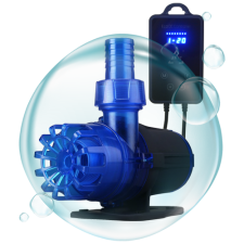 Sevenports - Nano Aquariums, Planted Aquarium Experts